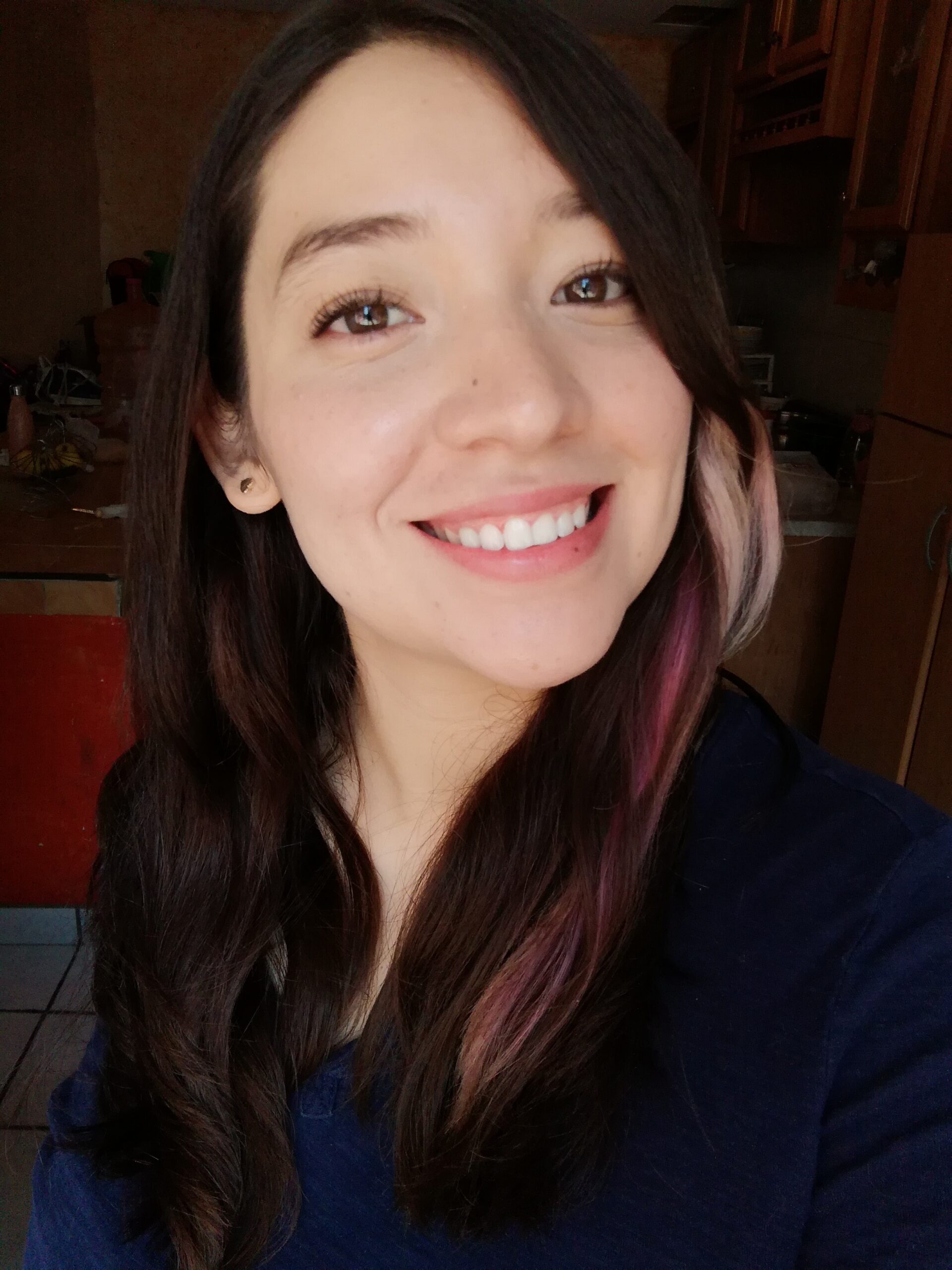 About - Local Vibes Mexico